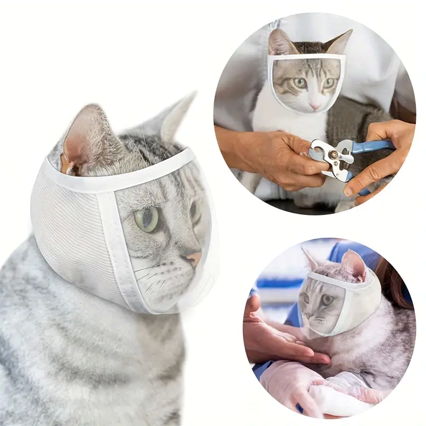 Shatterproof Transparent Cat Anti-bite Mask - Safe Grooming Solution ...