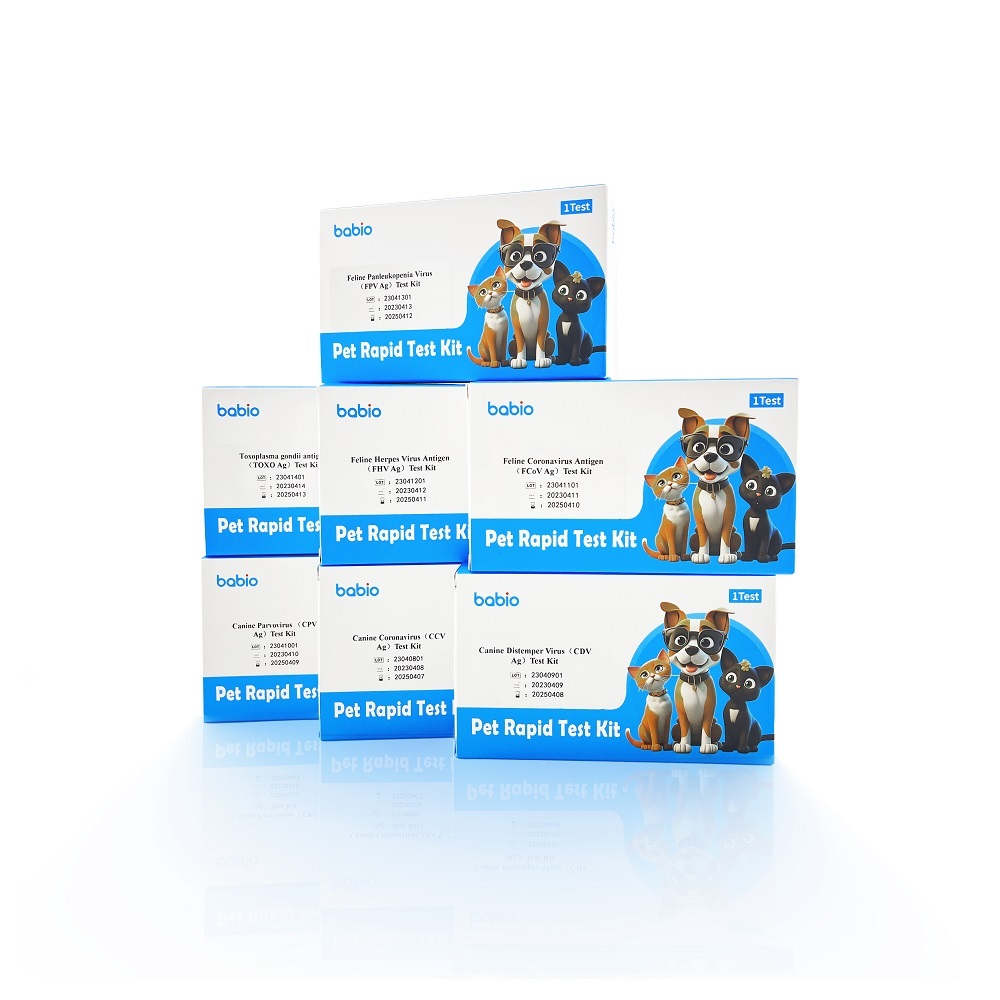 Toxoplasma gondii test kit TOXO Ag rapid test cat parasite test pet ...