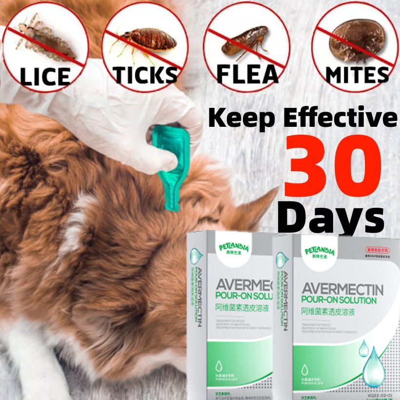 Tick And Flea Remover For Dog Garapata Remover For Dog Anti Tick ...