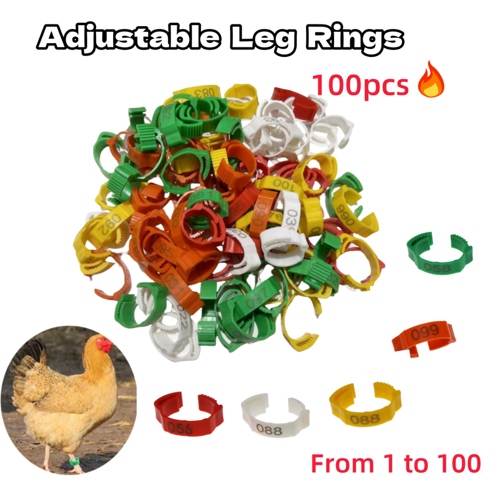 20/50/100Pcs Chicken Foot Ring Adjustable Size Multicolor Poultry Leg ...