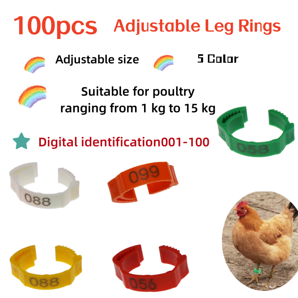 100 Pcs Chicken Leg Rings 7 Color Adjustable Poultry Foot Rings Chick ...