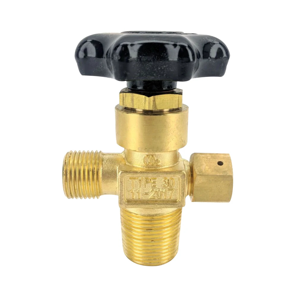 Kegland CO2 Cylinder with RPV Valve Brass Valve for 2.6kg and 6.0kg CO2 ...