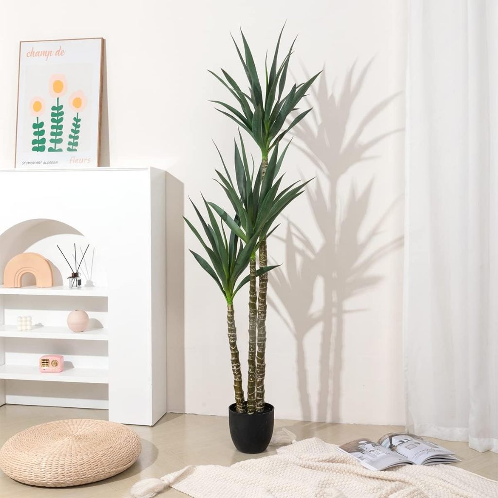 Sisal Tree,height: 5.3Ft/62in, Maintenance-free without watering,Nearly ...