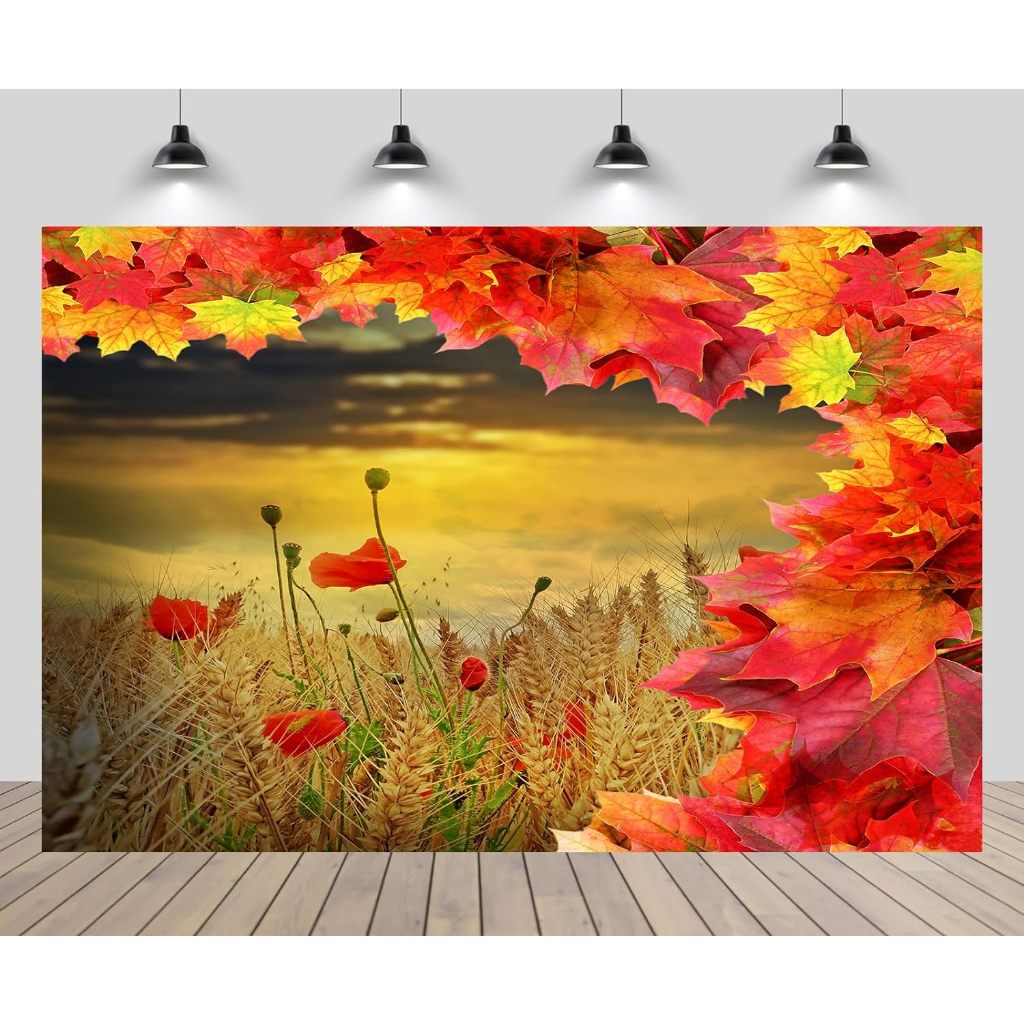 Autumn Wheat Field Backdrop Red Maple Leaves Wheat Farm Poppy Flowers ...