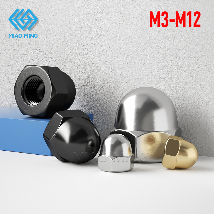 M3 M4 M5 M6 M8 M10 M12 Screw cap nut car cover sudu bulat tebal stainless steel 304 Copper ...