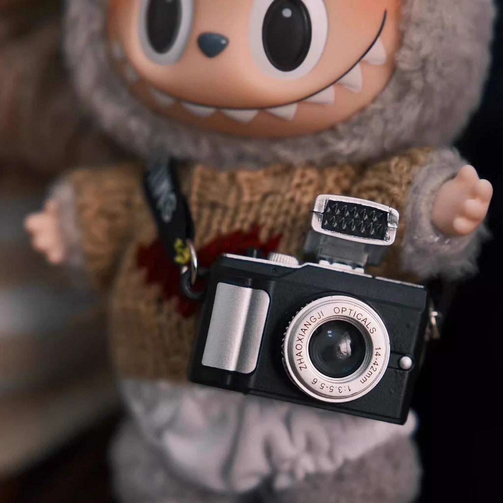 Labubu Vinyl Doll Mystery Box Camera Decoration 17cm Matching | Shopee ...