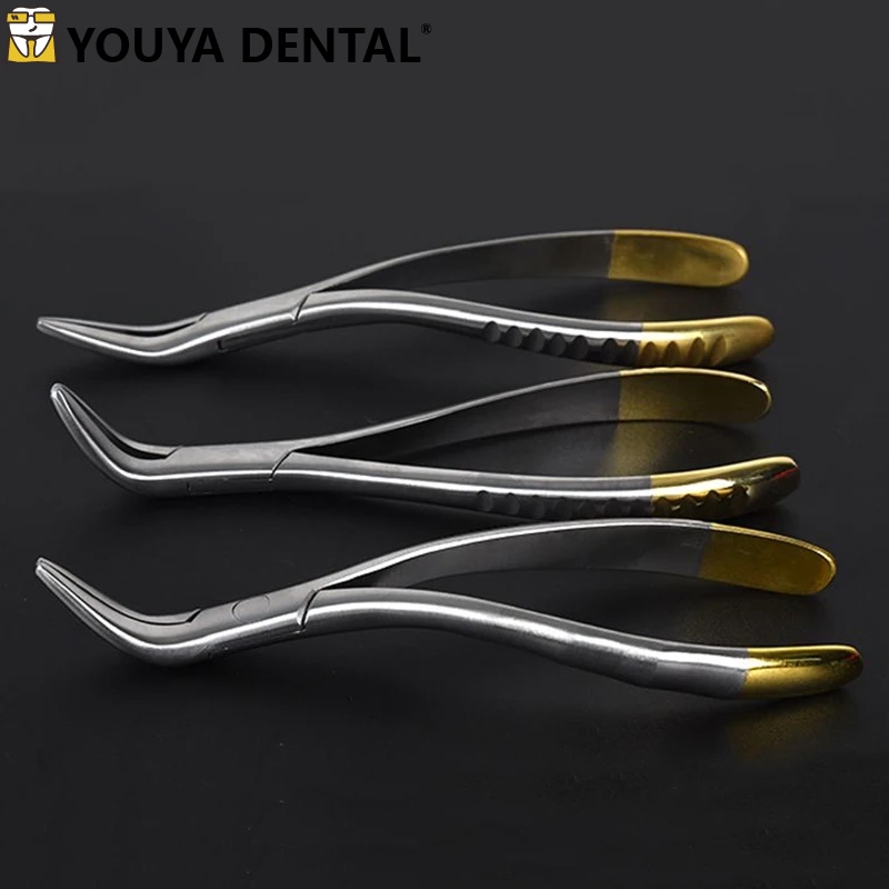 Dental Root Fragment Minimally Invasive Tooth Extraction Forcep Tooth ...
