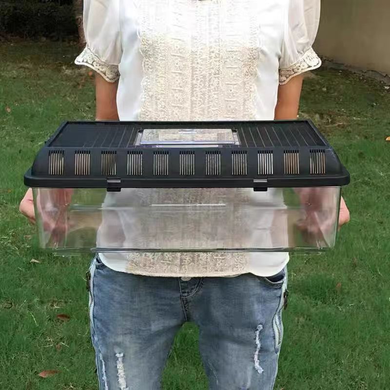 Climbing Pet Box Climbing Pet Box Spider Horned Frog Lizard Snake ...