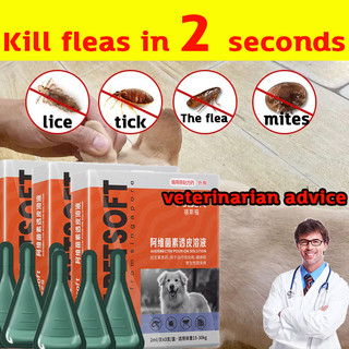 Garapata Remover For Dog Anti Flea and Tick for pets Tick Killer For ...
