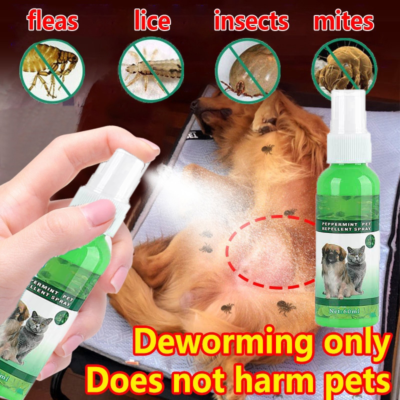 Tick and Flea Spray For Pet Garapata Remover Garapata Killer For Dog ...