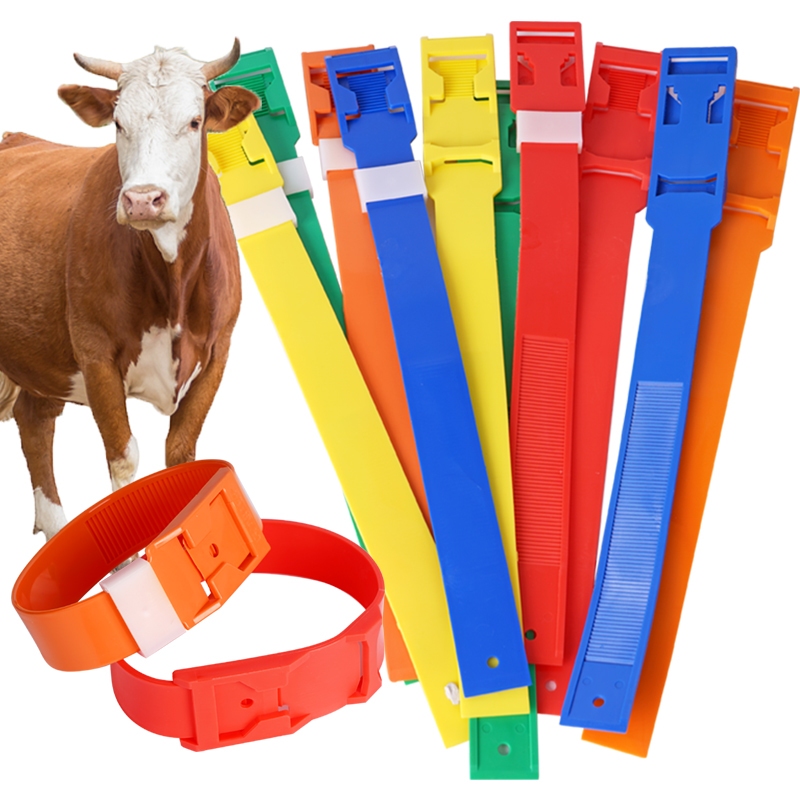 1Pcs New Cow Cattle Mark Foot Ring Leg Bands Animal Tracking Goat Sheep ...