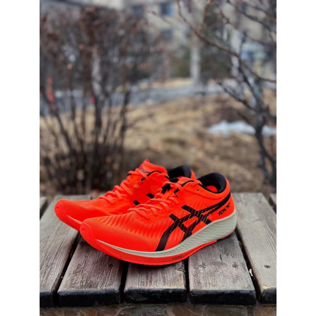 Asics Metaracer Racing Carbon plate running shoes Marathon training ...