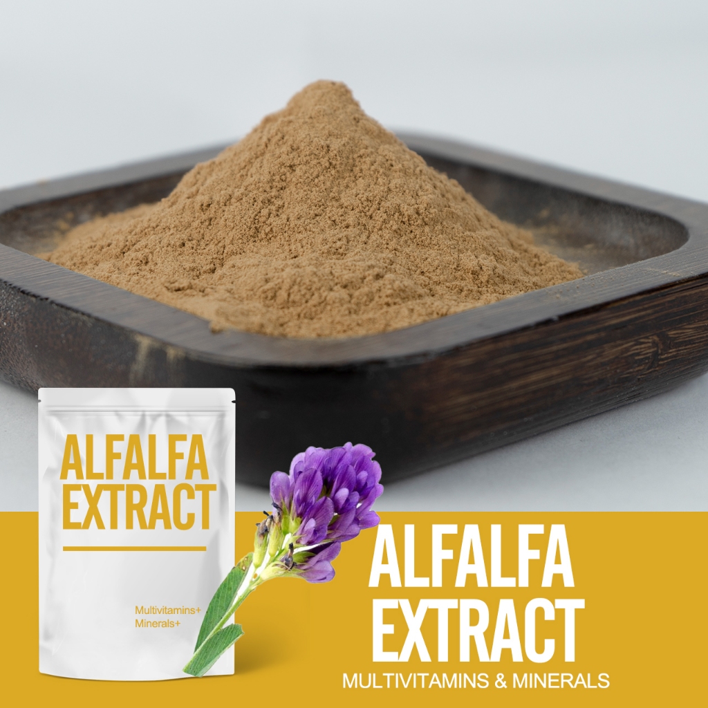 Alfalfa extract 10:1 Medicago sativa food grade water soluble - rich in ...