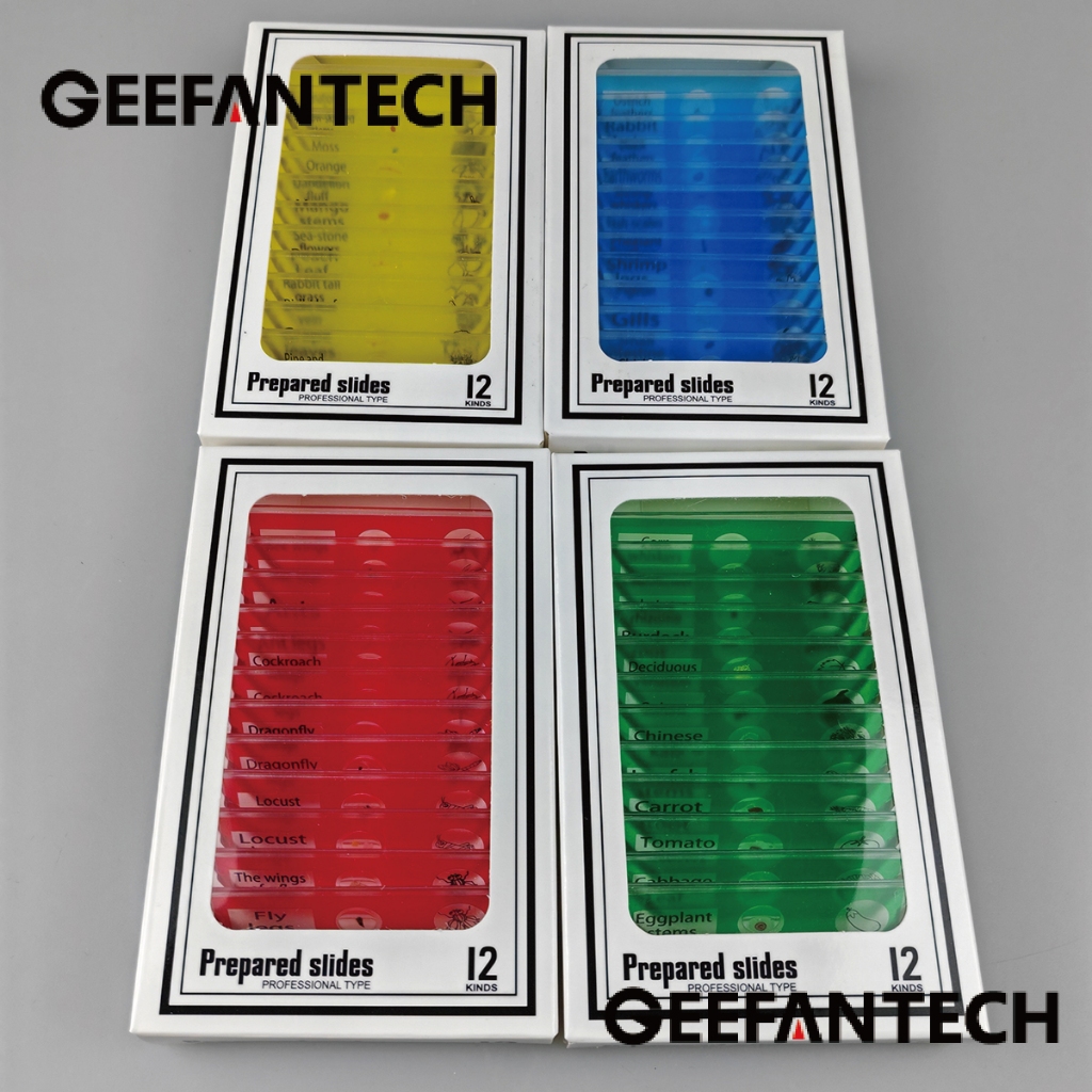 Microscope slides 48pcs 4 Colors Specimens Biology Microscope Prepared ...