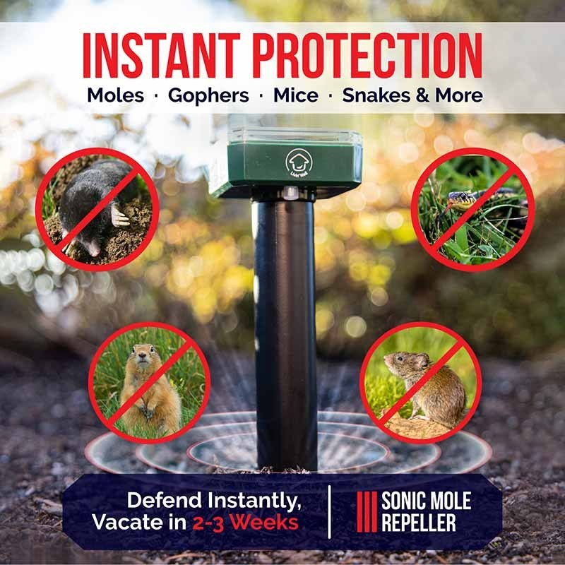 【100% effective】2024 Newest Solar Mole Repeller Snake Repellent ...