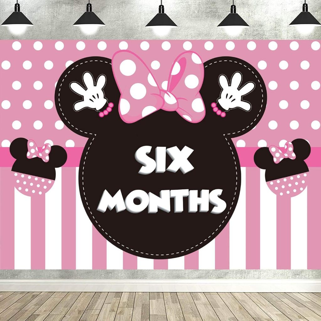 Mouse Six Months Photography Backdrop 5x3ft Girls Half Birthday Photo ...
