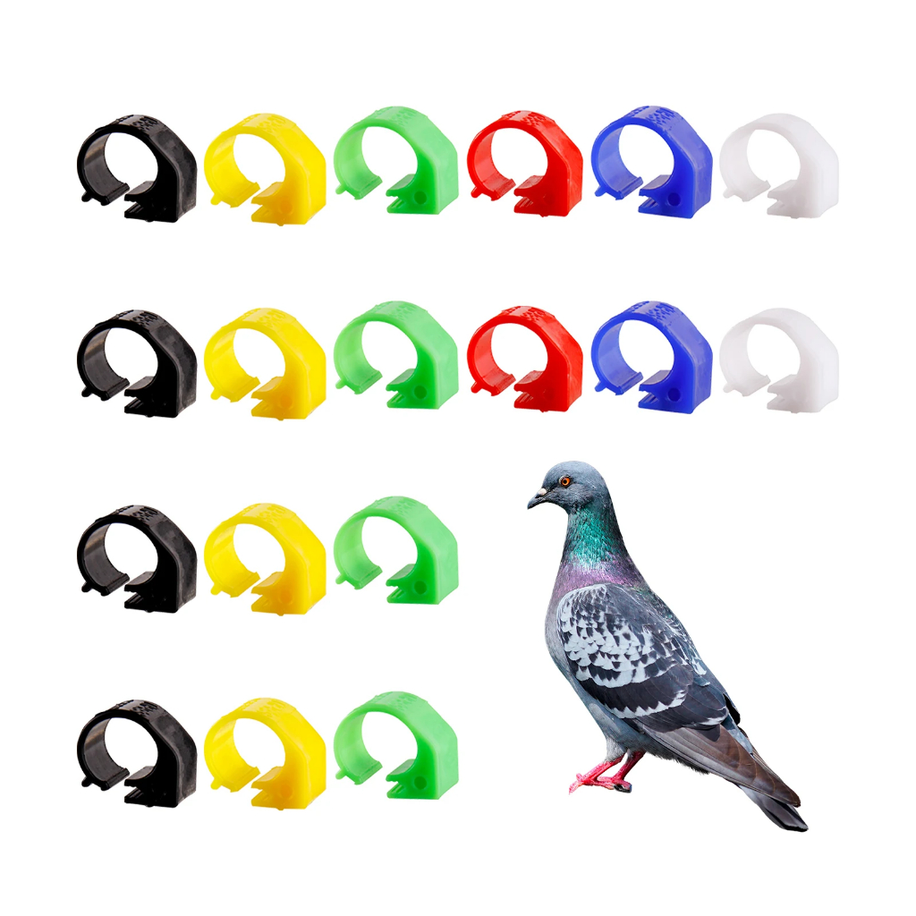 12Pcs 8mm Pigeon Foot Ring Plastic Snap Ring Pigeon Foot Ring Pigeon ...