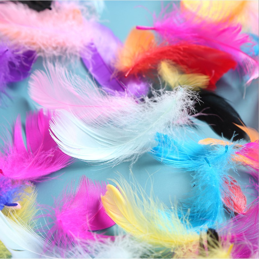 100pcs Natural Feathers Decor Small Floating Colorful Feather Plume ...