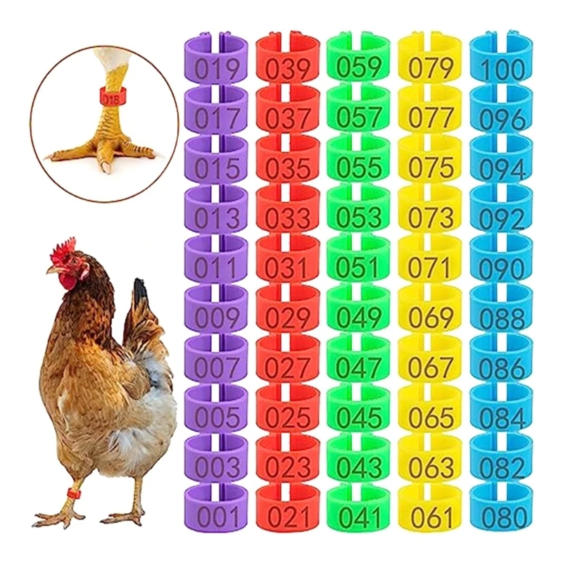 Chicken leg rings Poultry leg bands Clip-on Chicken ankle rings for ...