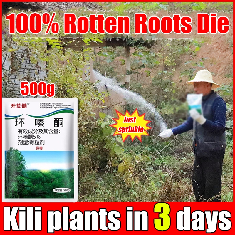 Root Rot 500g Powerful Grass Tree Killer Contains Super Effective ...