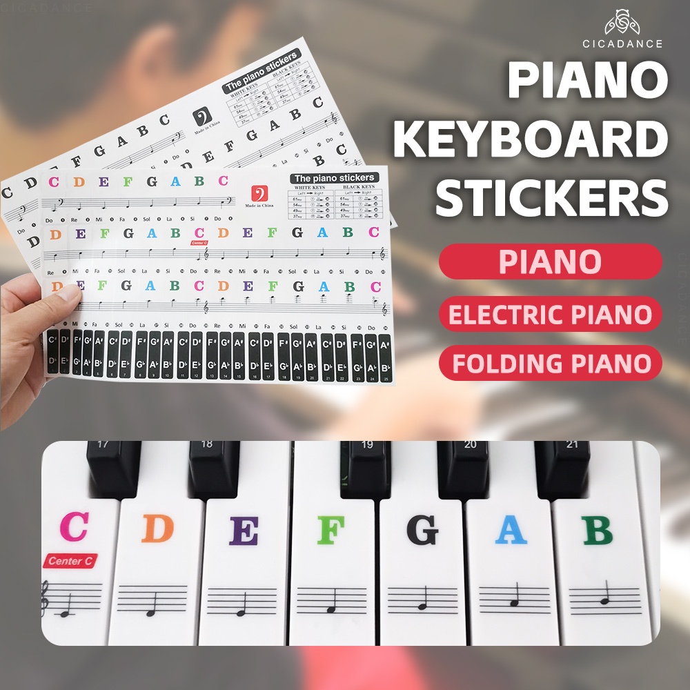 Piano Keyboard Stickers for 37/49/54/61Key Colorful Transparent ...