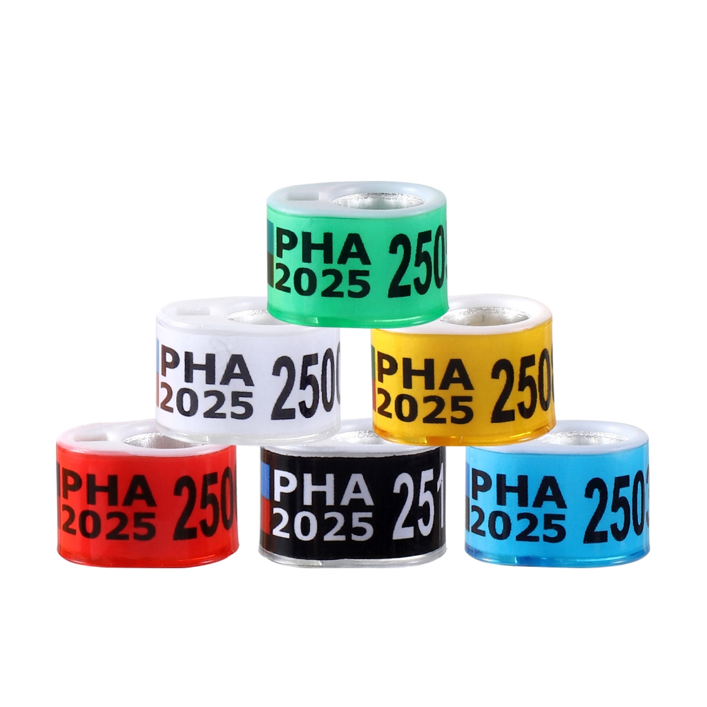 20Pcs/5Pcs PHA/PHIL Oval Pigeon ring Oblong 2025 8mm Pigeons ring ...