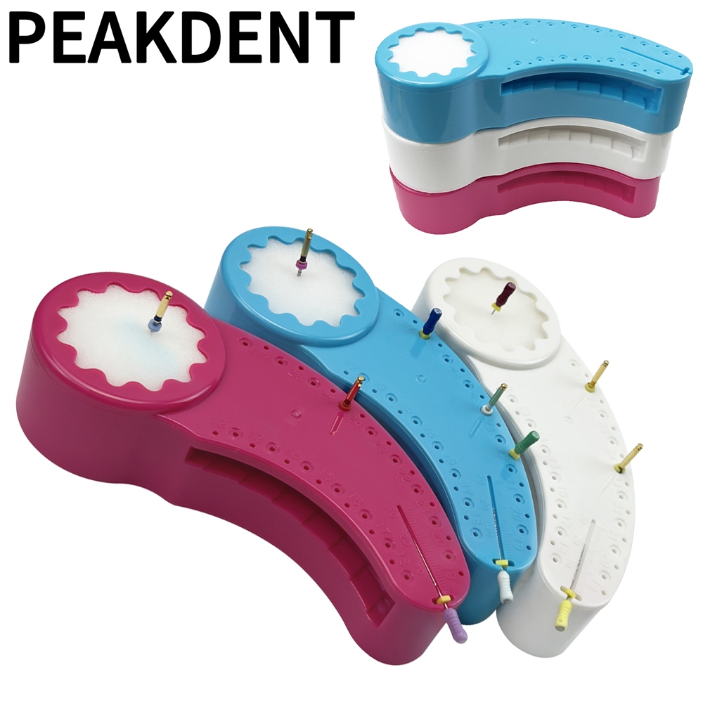1pcs Dental Endo File Holder Stand Sponges Root Canal Endodontics File ...