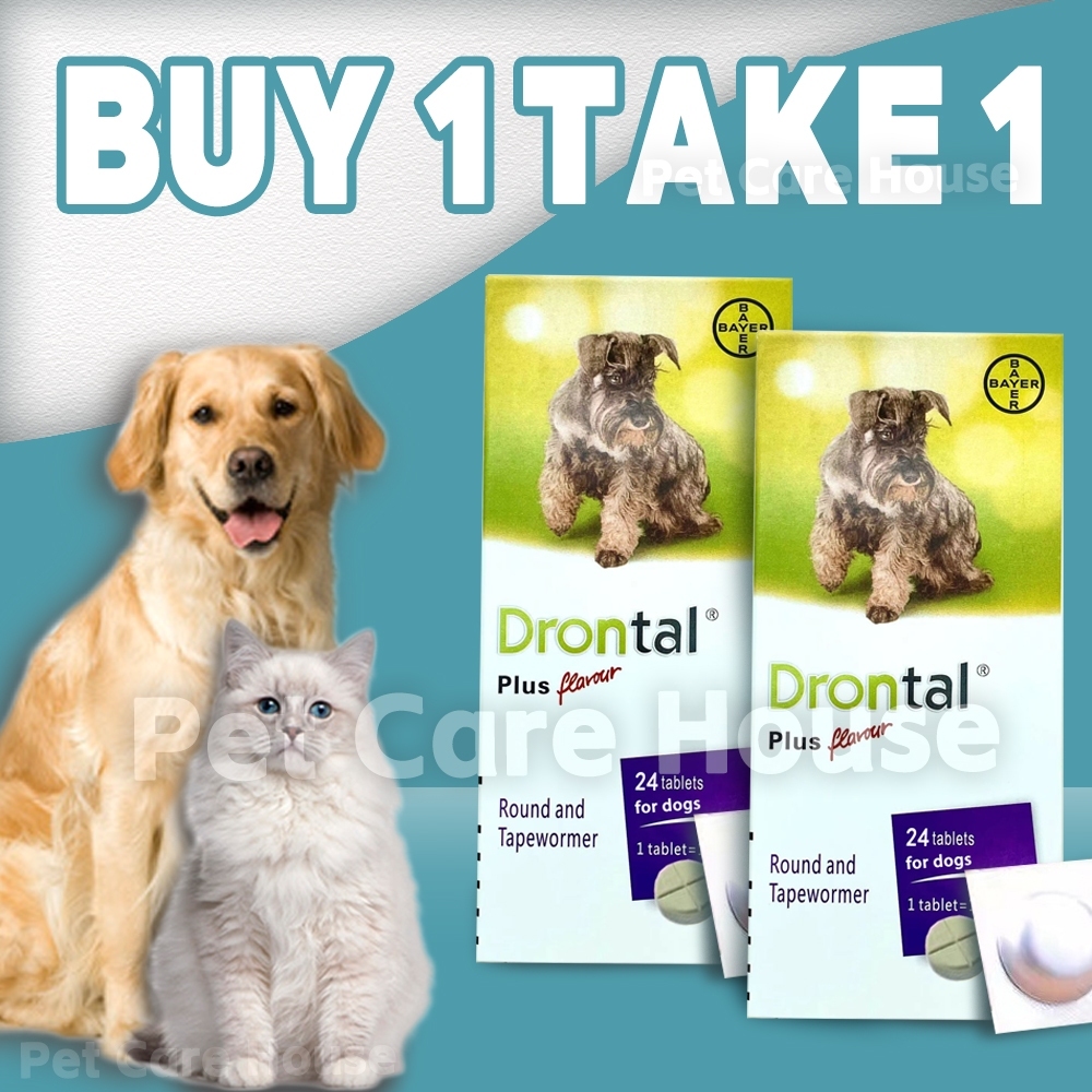 【Buy 1 take 1】Drontal Plus Tablets for Dogs Tasty Dewormer | Shopee ...