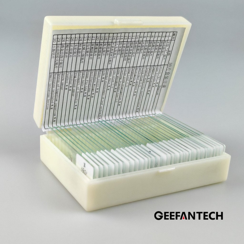 30PCS/Set Biological Prepared Slides Tissues Specimen Slices Science ...