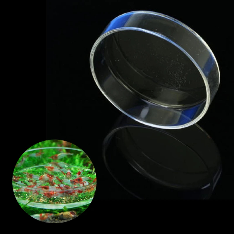 Round Aquarium Shrimp Food Feeder Glass Feeding Bowl Cup Fish Tank ...