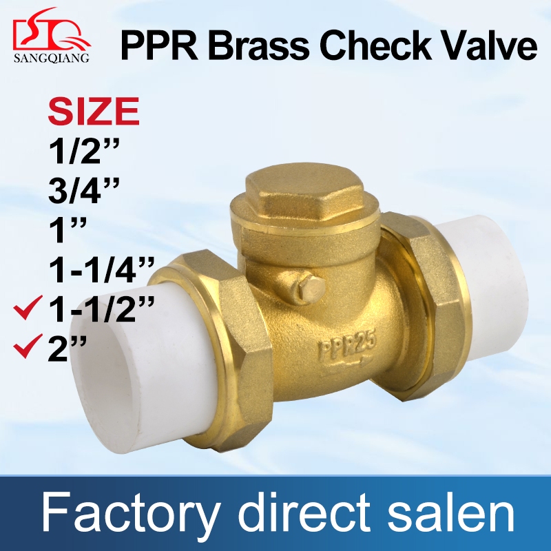 Sang Qiang PPR Brass Fittings Double Union Swing Check Valve Water pipe ...