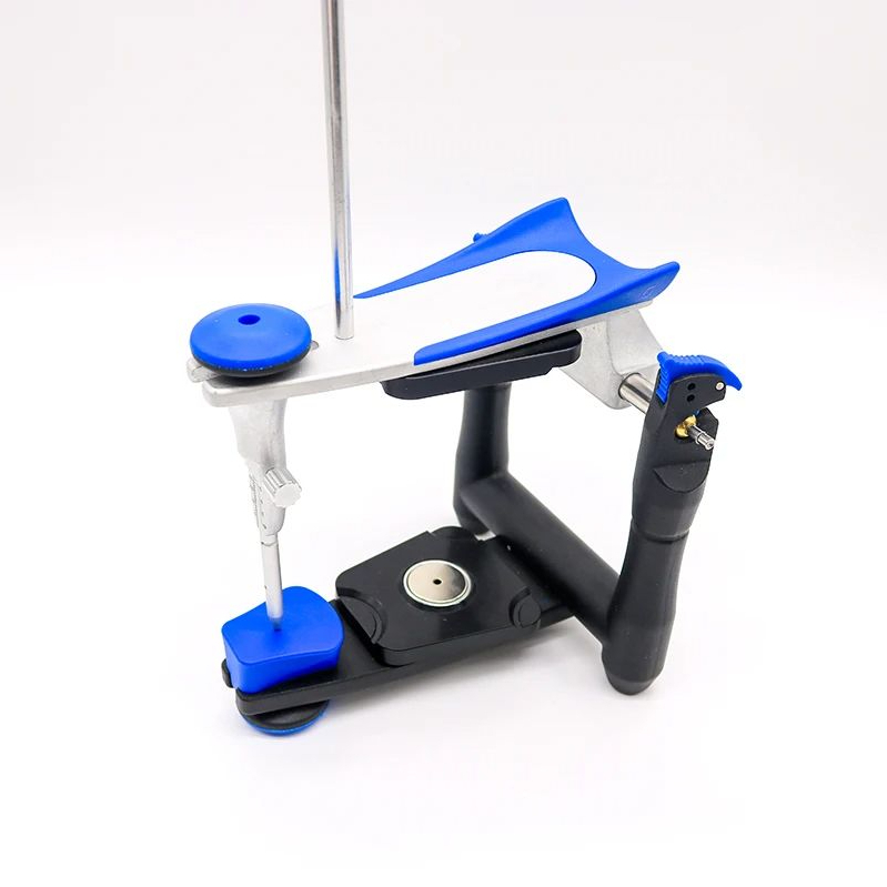 Dental Artex BN Model Functional Articulator Teeth Model Accurate Scale ...