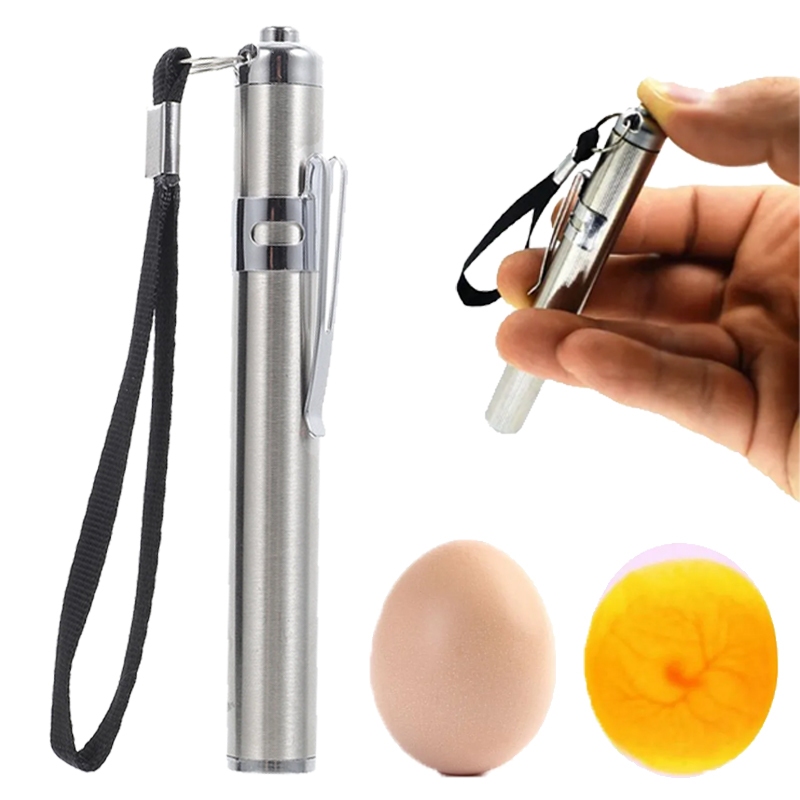 Egg candling lamp Incubator egg tester LED Flashlight pen light for ...