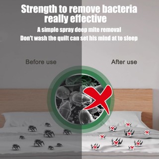CP Bed bugs spray effective killer Bed bug spray Bed bug killer baby ...