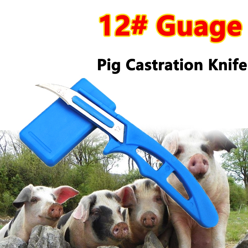 2/4/10Pcs Pig scalpel knife blade Veterinary castration knife for livestock castration tool ...