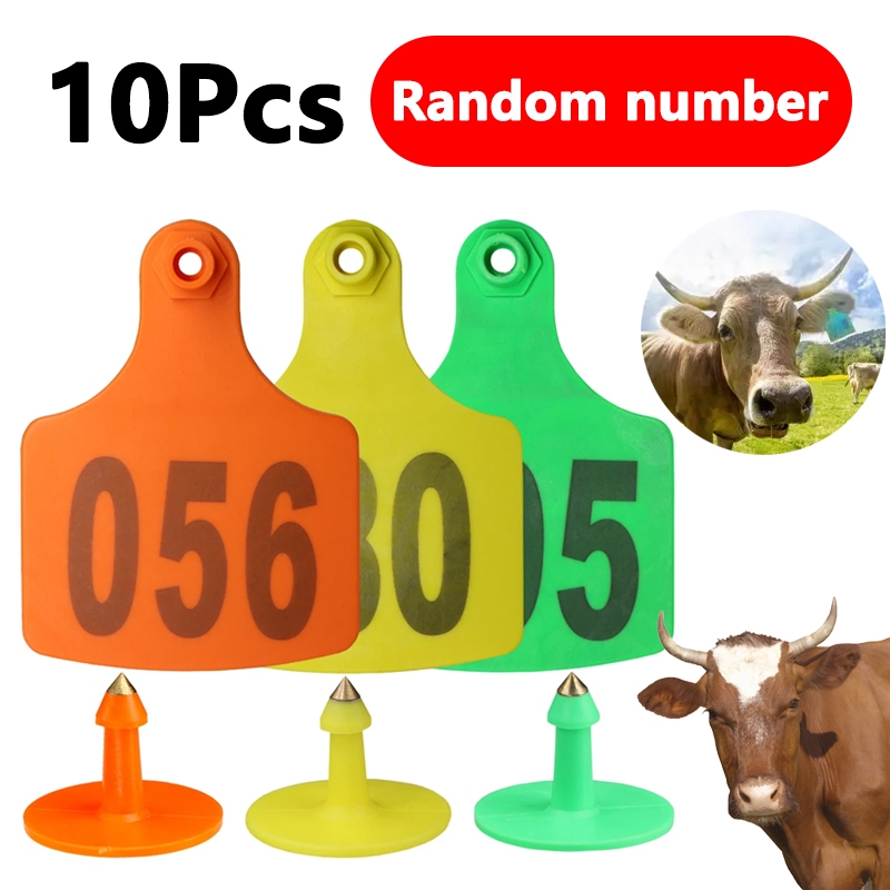 Large ear tag signs Random words Cow cattle ear tags for farm animal ...