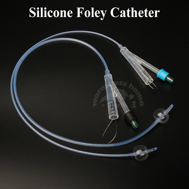 10pcs Silicone 2-Way Foley Catheter With Stylet Urinary Catheters for ...