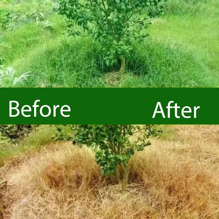 Red Magic Weed Killer Grass Killer Powder Herbicide Chemical Weeds and ...