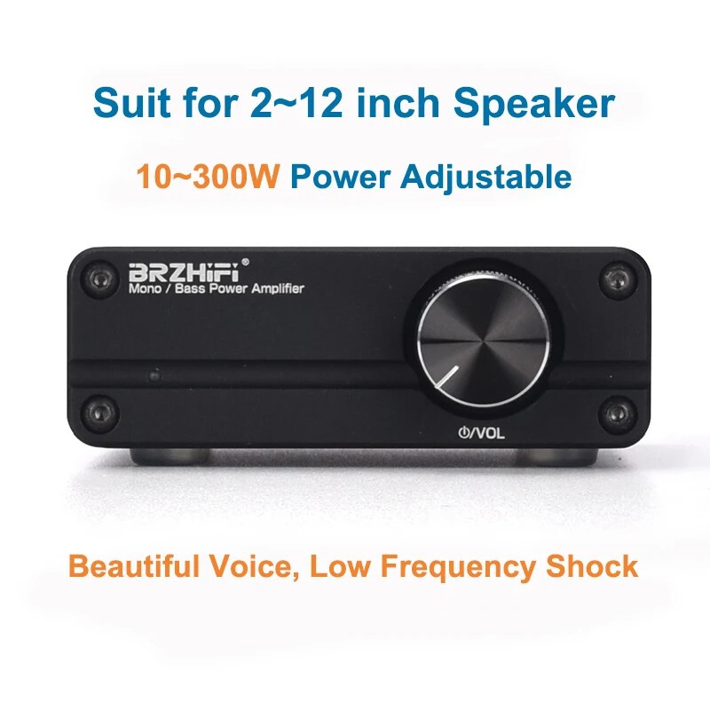 New 100W Mono TPA3116 Digital Amplifier Subwoofer Home Theater Class D ...