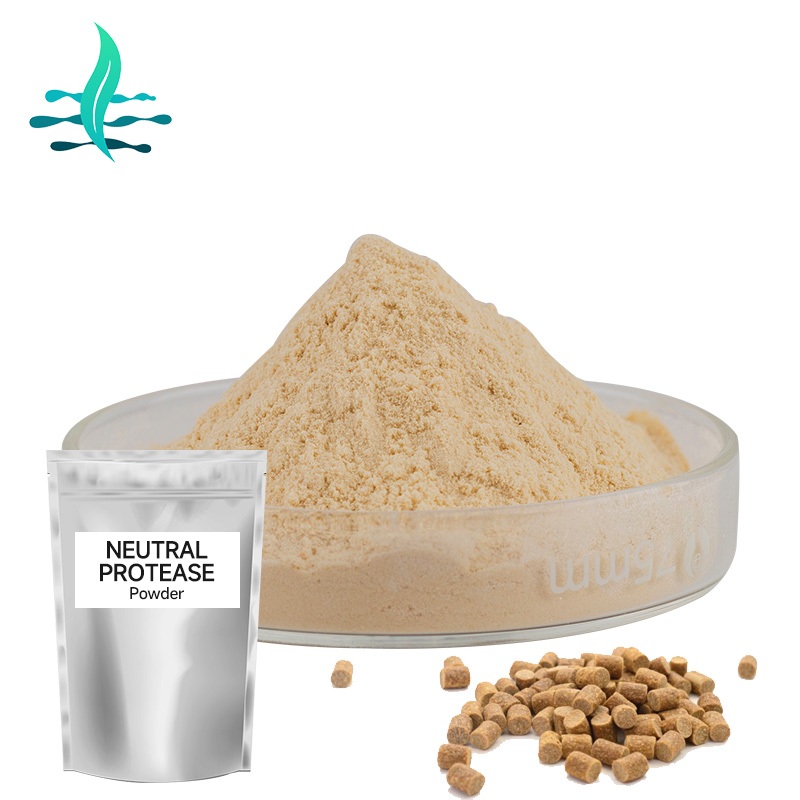 Best Price Enzymes Protease Feed additive Protease Enzyme powder ...