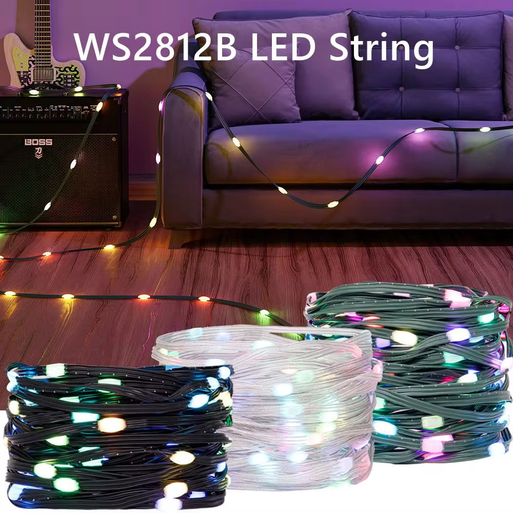 WS2812B RGB LED String Transparent Green Black Wire 5M-20M Party ...