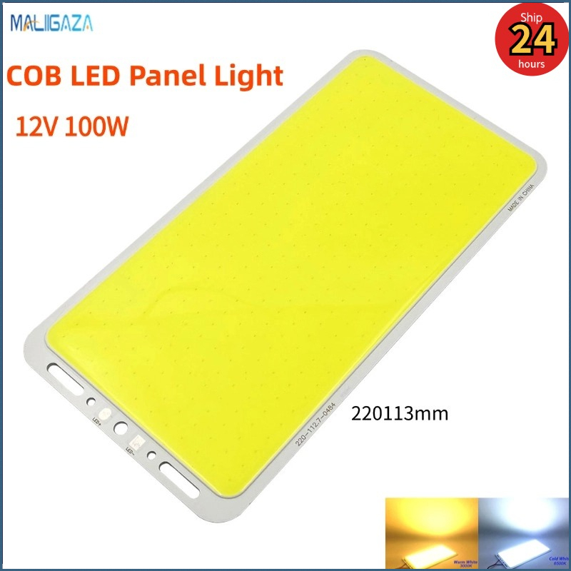 12V COB LED Panle Light 100W for Truck Lighting Outdoor Camping Lights ...