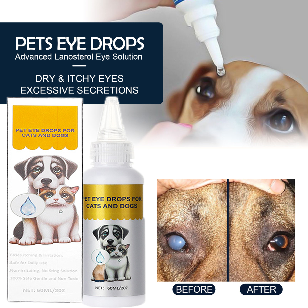 Gentamicin Pet Eyes Drop for Cat and Dog Pet Eye Infection Cataract ...