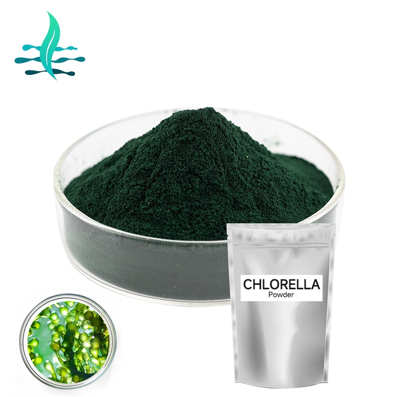 Wholesale Bulk Chlorella Powder Good Quality Nutritious Superfood ...