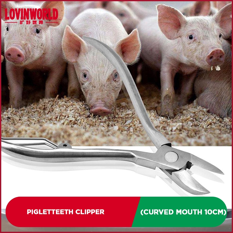 Lovinworld Pig Tooth Nipper, Simple Pig Teeth Cutter for Cutting Off ...