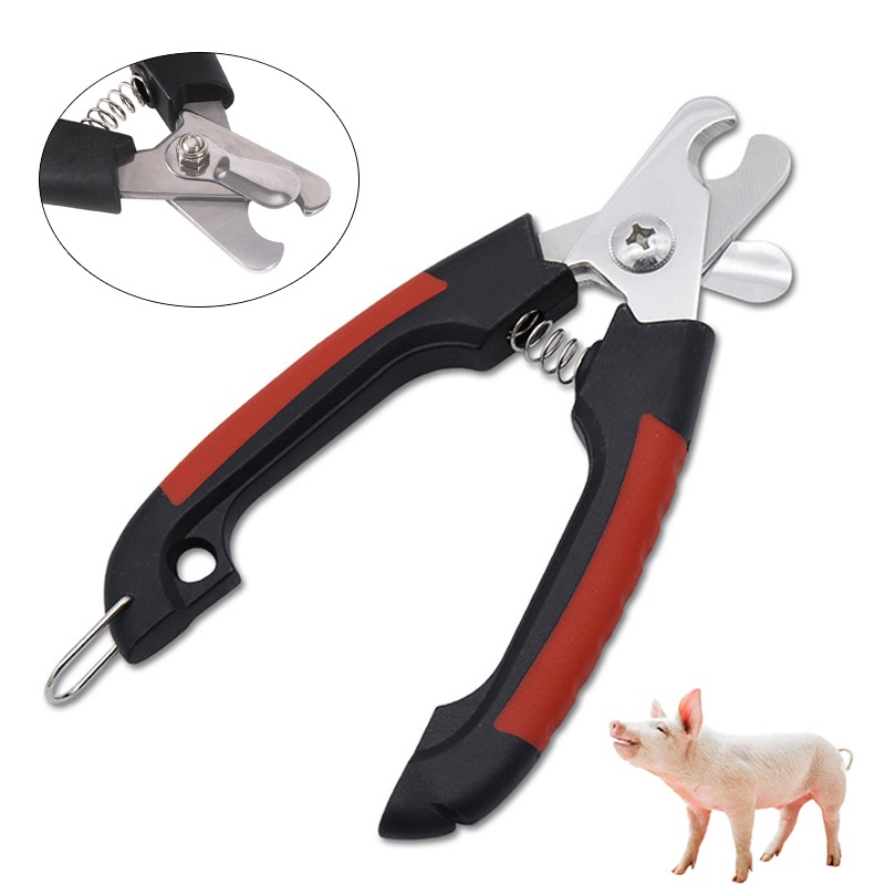 The New Piglet tail cutter Stainless steel Manual Tail cutter for ...