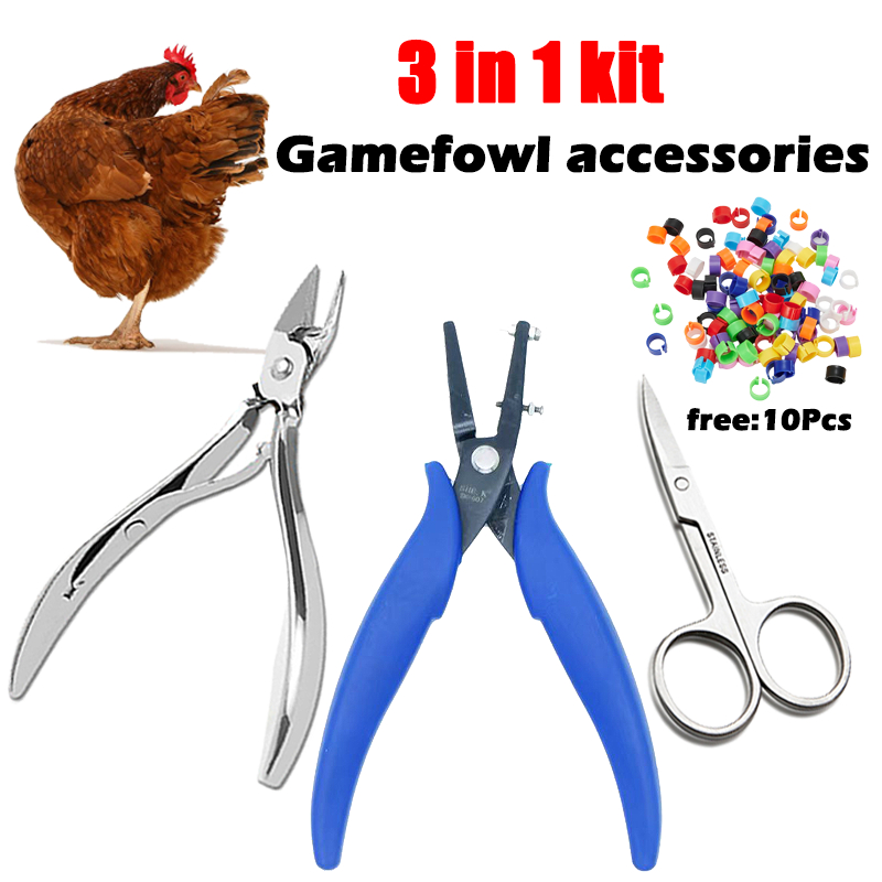 3 in 1 Chicken toe puncher kit Chick toe puncher Nose marker for ...
