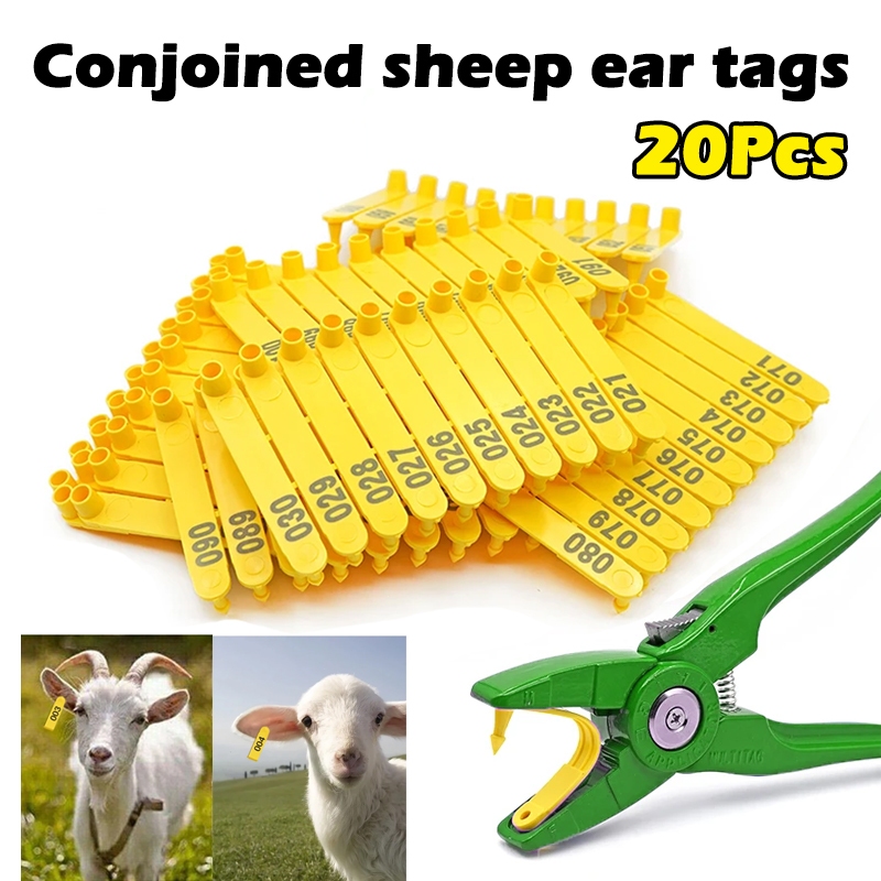 20Pcs Goat ear tags 001-020 Number Plastic livestock ear tags for cow ...
