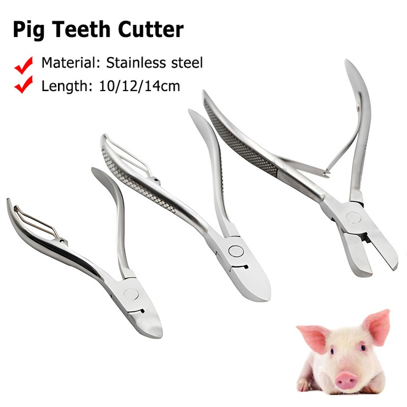 Pig tooth nipper Stainless steel piglet teeth cutter Teeth cutter ...