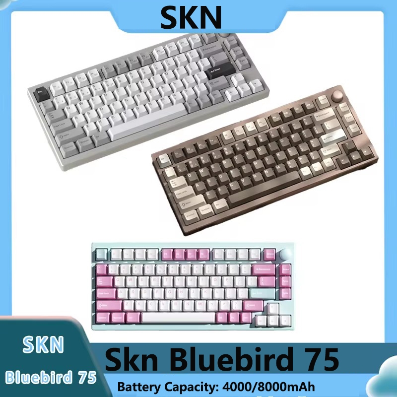 Skn Bluebird 75 3 Mode Mechanical Keyboard Kit Aluminium RGB Wireless ...
